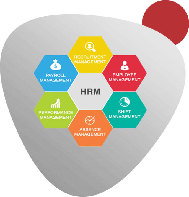 HRMS - Insead Technology